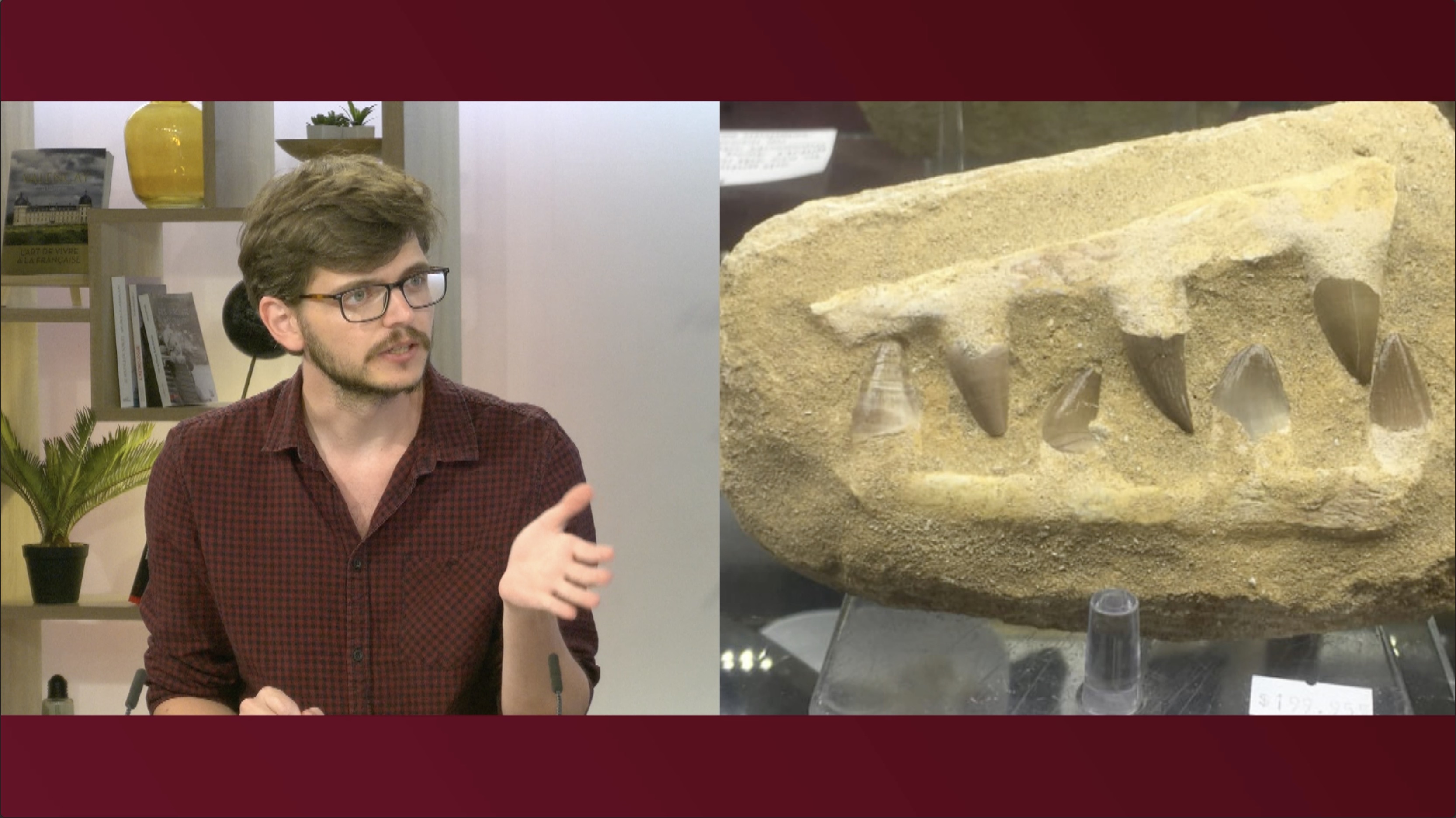 invité BIP INFO du 01/07/25